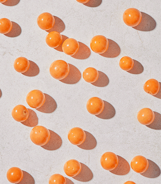 Salento Provisions - Heirloom Single Origin Dried Fruit